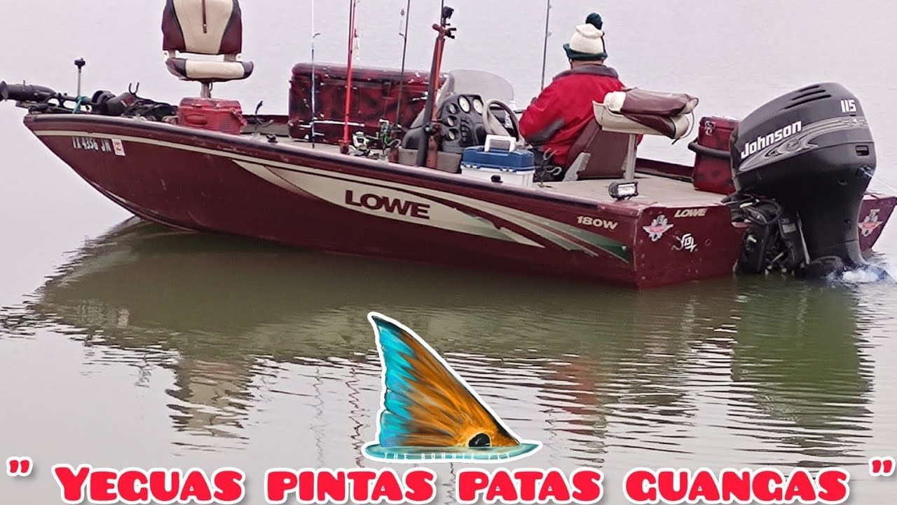 " Yeguas Pintas Patas Guangas "🎣😎 - YouTube