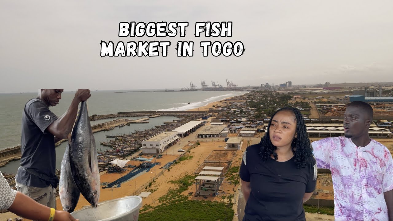 The BIGGEST FISH MARKET in Lomé Togo || West Africa - YouTube