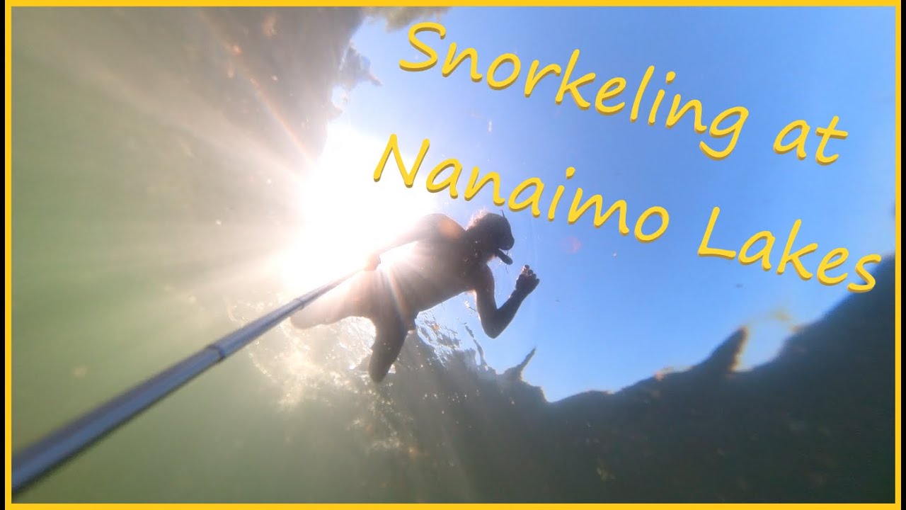 Snorkeling At Nanaimo Lakes, Vancouver Island - YouTube