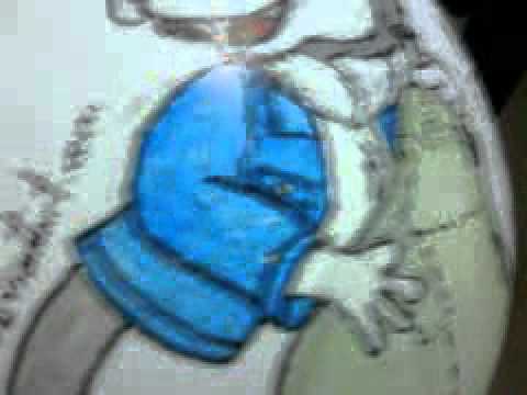 Skeppo Husky 11