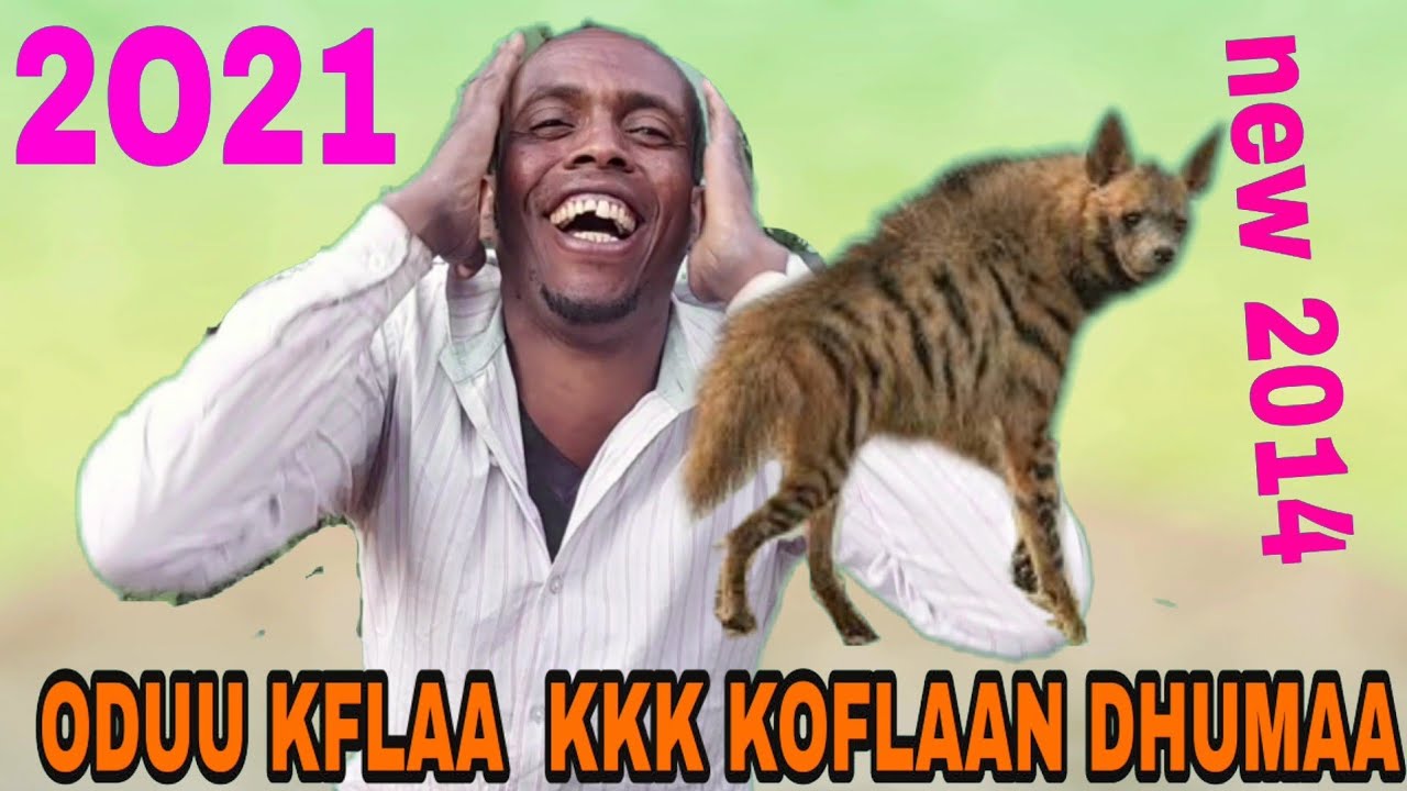 Oduu: Short Oromo Drama || Oduu Kolfaa!! | Boonsaa TV - YouTube