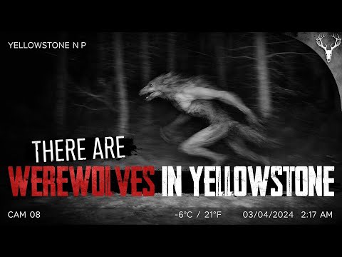 There are Werewolves in Yellowstone National Park