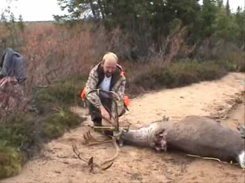 Antholz_Caribou_Canadian_SubArctic_Hunting_1_5.wmv - YouTube