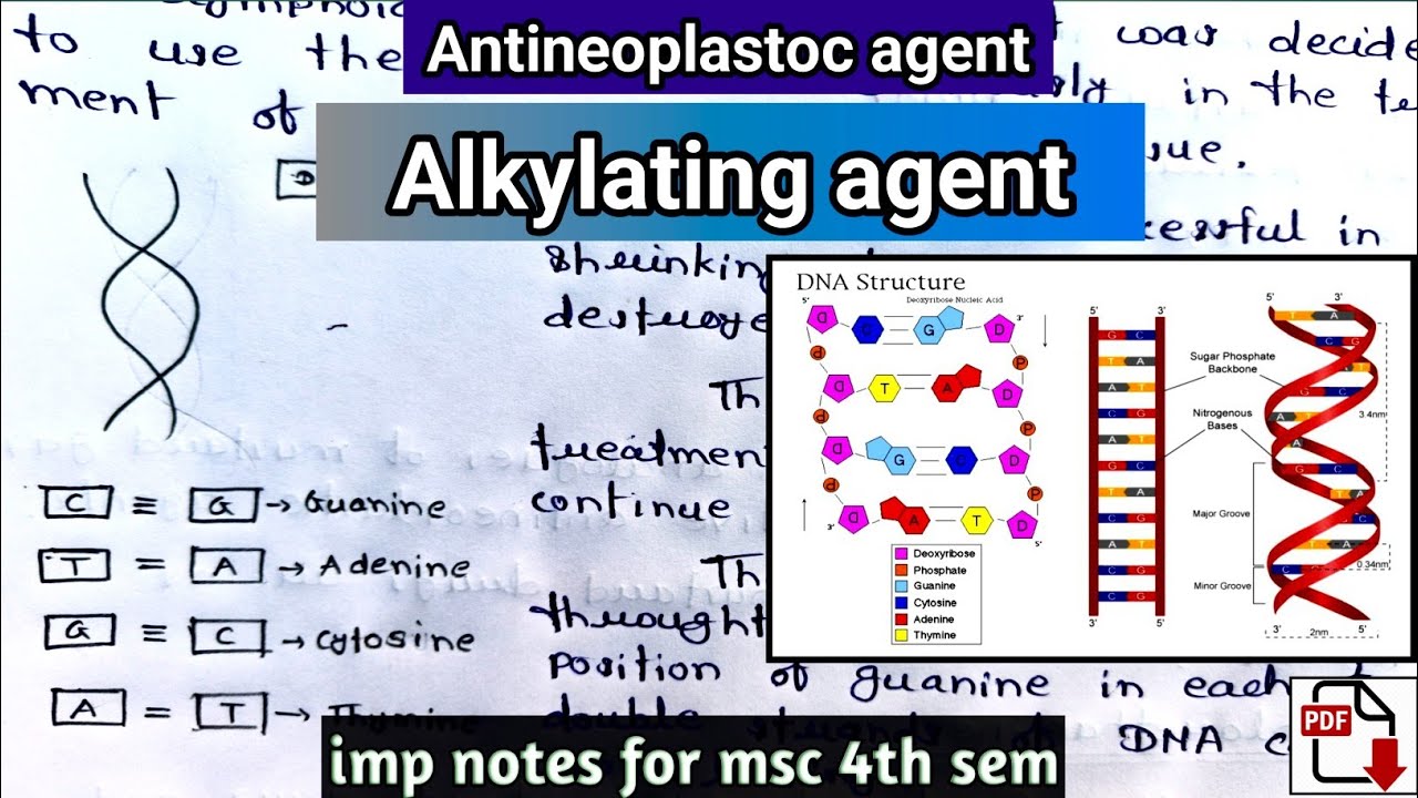 Alkylating agents in medicinal chemistry || mechanism of action (@relatechemistry21 ) - YouTube