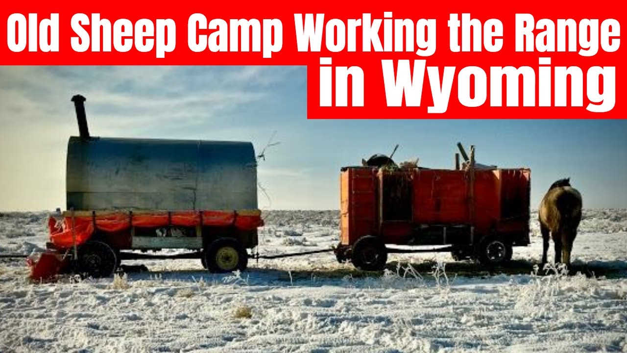 Road Trip - Sheep Camp Working the Range in Wyoming - YouTube