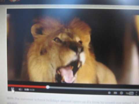 Longleat 50th Anniversary Advert - YouTube