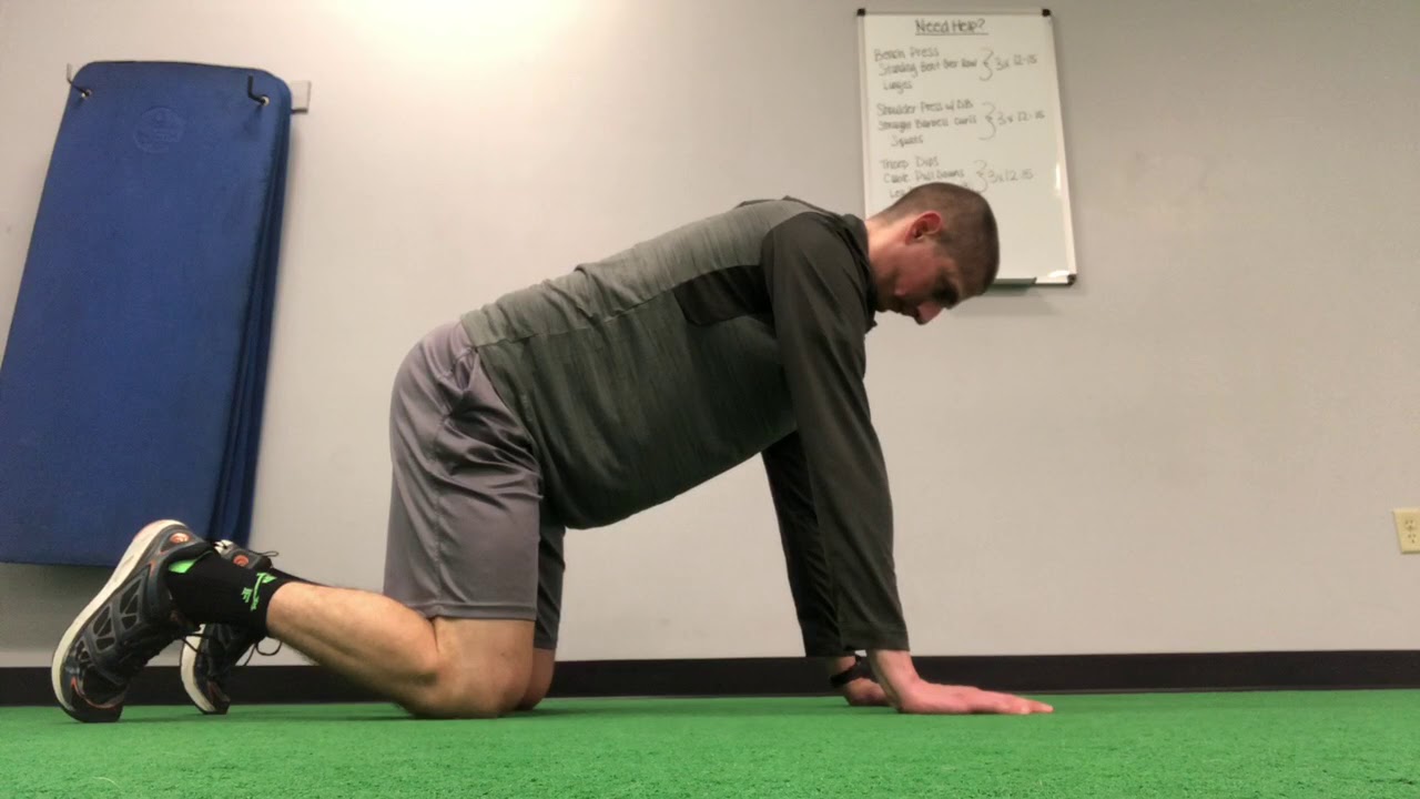 Quadruped Exercise Progression