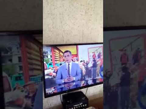 Çınarbaşı köyu akbez zeytindalı