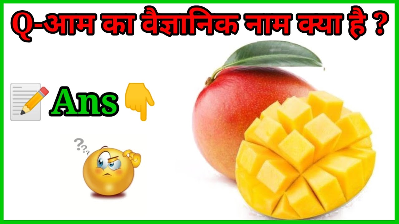 Vaigyanik Name aam Ka Vaigyanik vaigyanik-name-aam-ka-vaigyanik