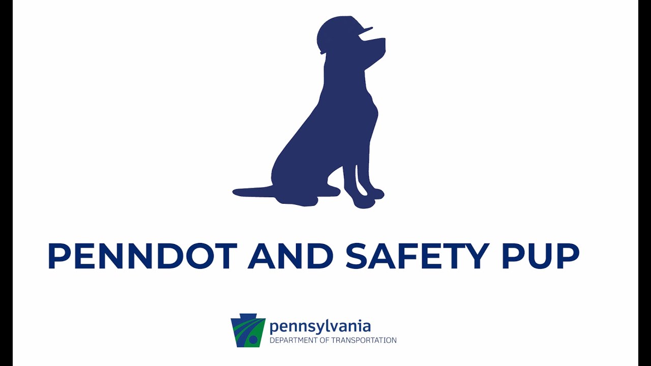 Safety Pup: Seat Belt - YouTube