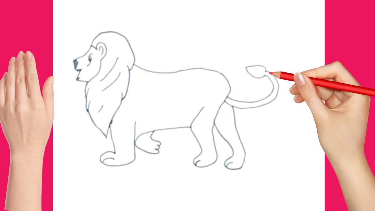 "How To Draw And Learn to Draw a Cute Lion🦁 for Kids | Easy Coloring ...
