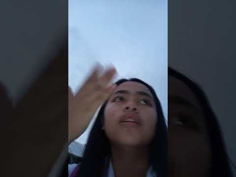 Mga TANGA