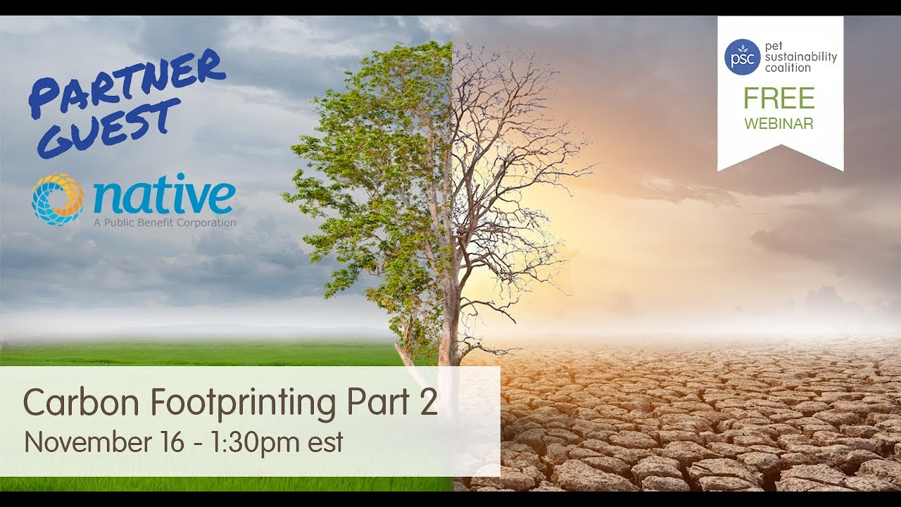 Carbon Offsets Webinar with Native Energy - November 2021 - YouTube