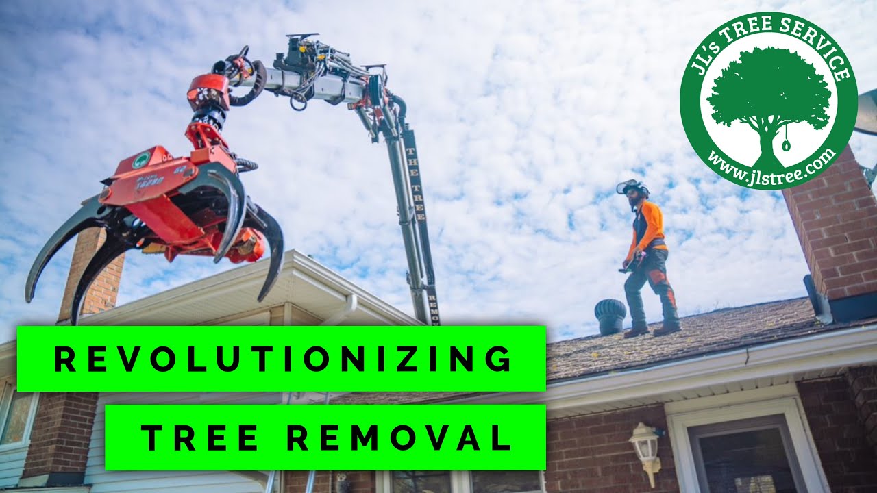 The way JL’s removes trees! Low impact tree removal, remote control ...