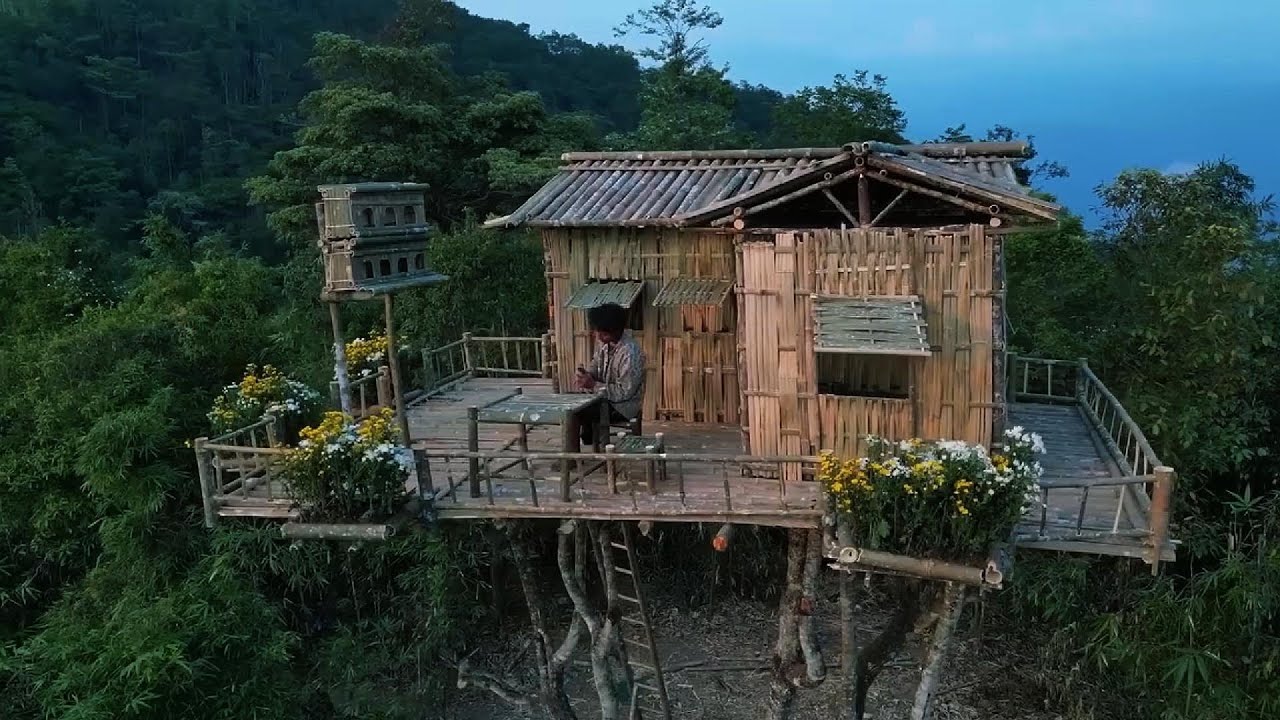 This Man Can Build a TREE house Strong Enough to Withstand WIND and ...