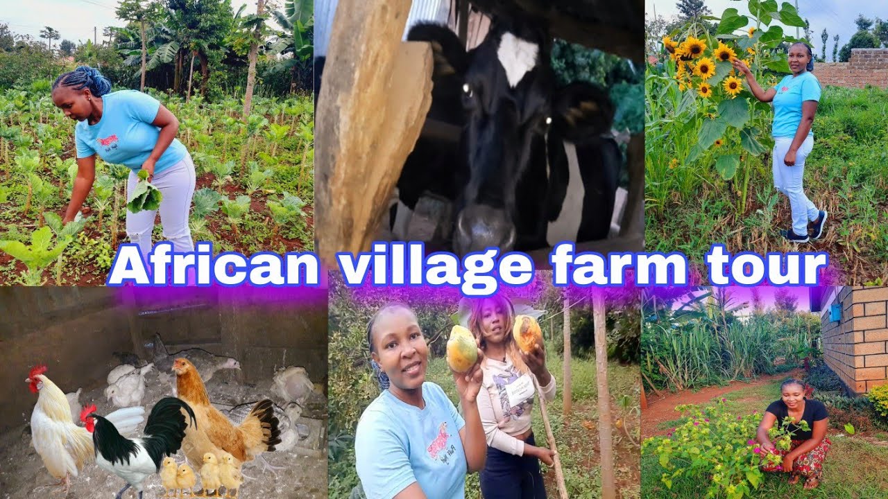 African Village Farm Tour| Countryside Kenya | Village life - YouTube