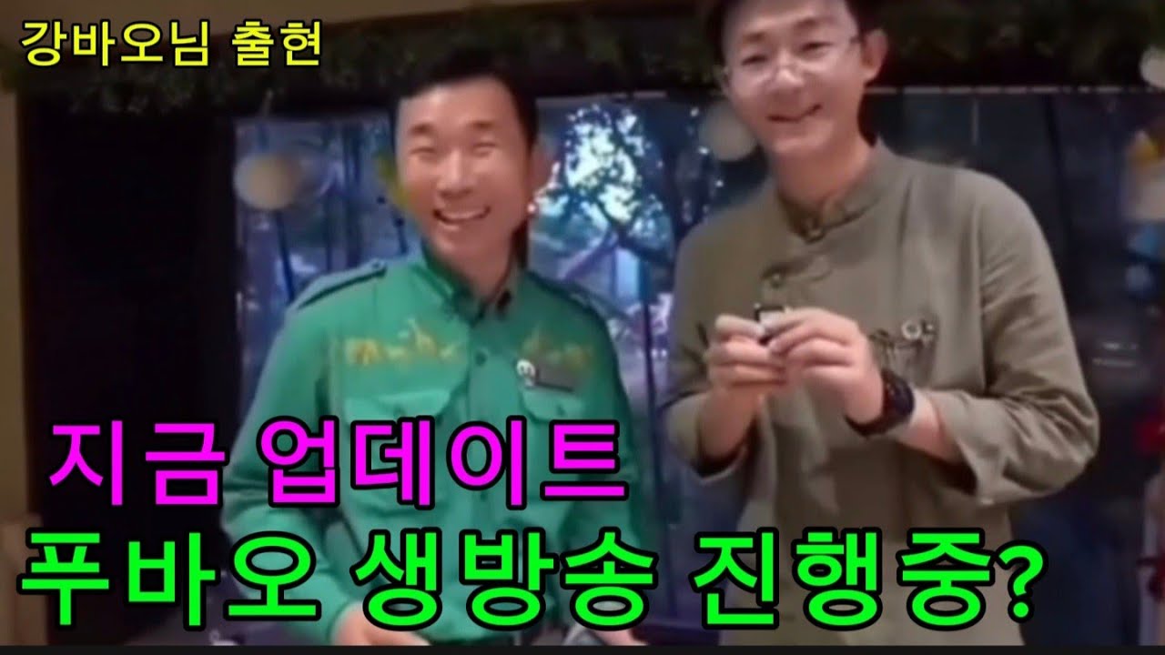 긴급 업데이트 푸바오 생방중 강바오님 출현 Youtube