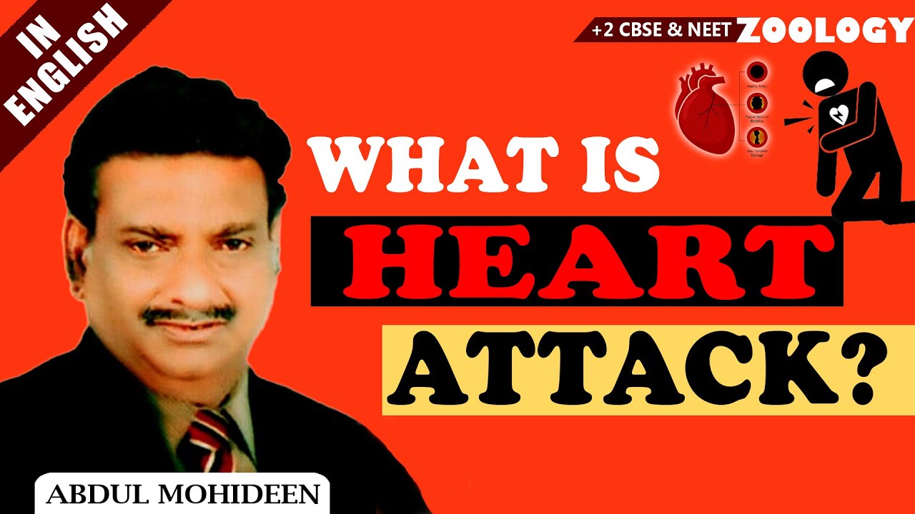 WHAT IS HEART ATTACK ZOOLOGY CLASS 1 BODY FLUIDS CIRCULATION what-is-heart-attack-zoology-class-1-body-fluids-circulation