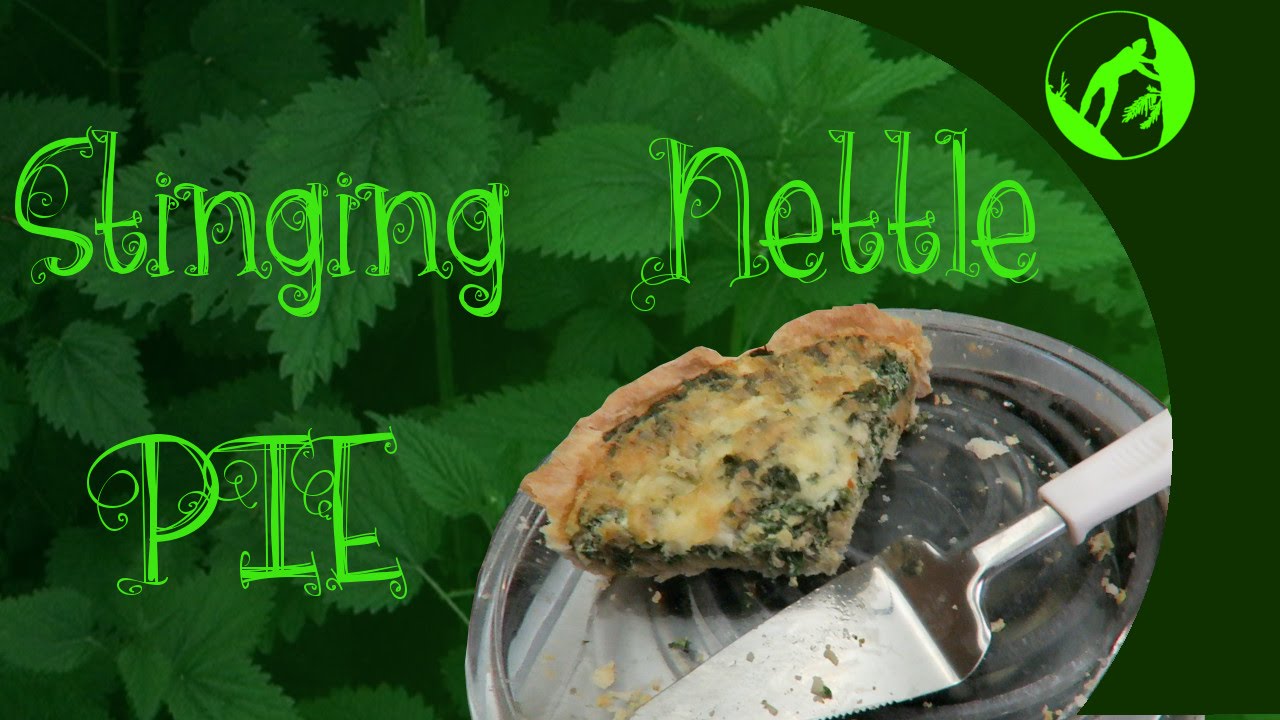 Stinging Nettle Pie - YouTube