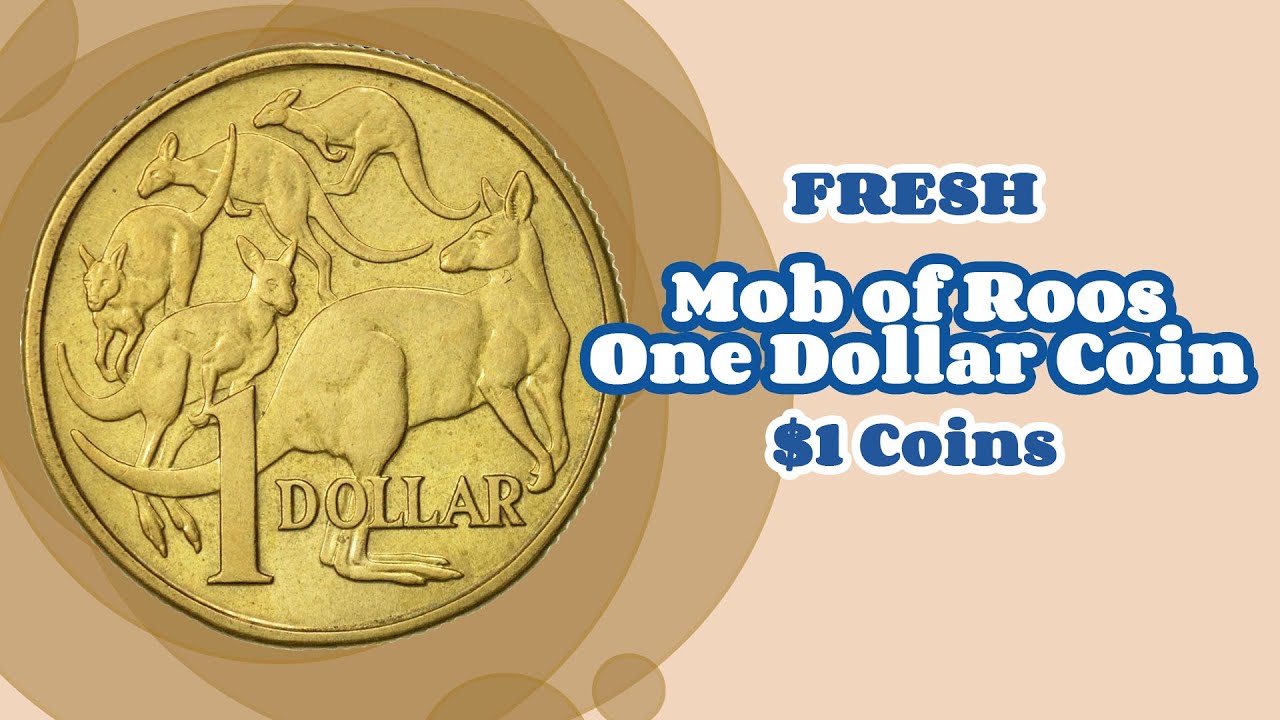 FRESH Mob of Roos One Dollar Coin ($1 Coins) - YouTube