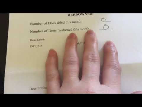 DHI Dairy Goat Milk Test - YouTube