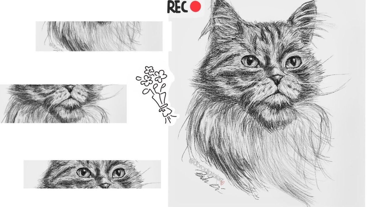 How to Draw Cat [ Digital Drawing ] Cica rajzolás/ Ibis Paint X - YouTube