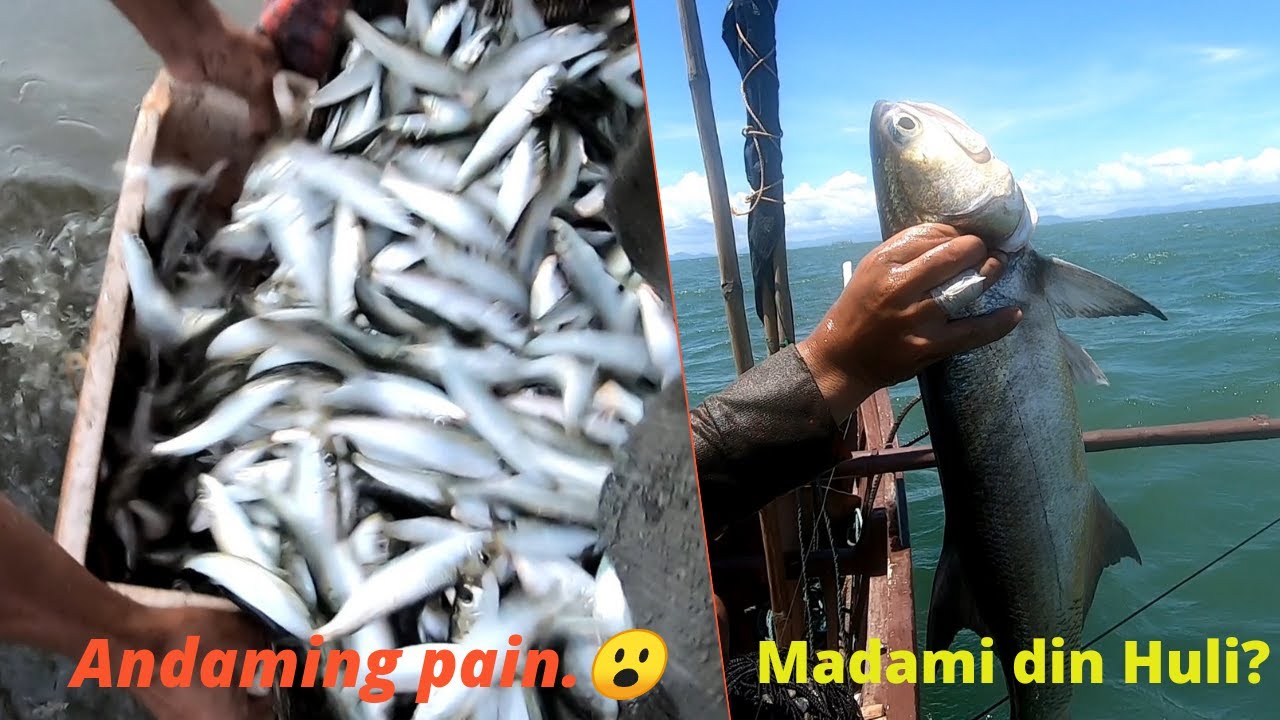 Napakaraming Pain para sa Longline Fishing,,Marami din kaya kaming ...