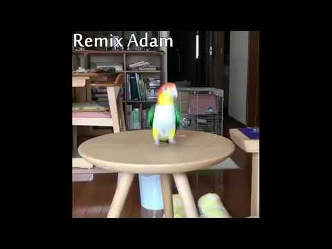 REMIX ADAM 2018 EN YENILER 15/12
