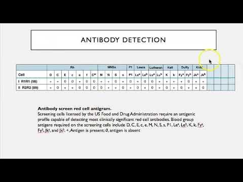 BB Unit 3, Lecture 2 - YouTube