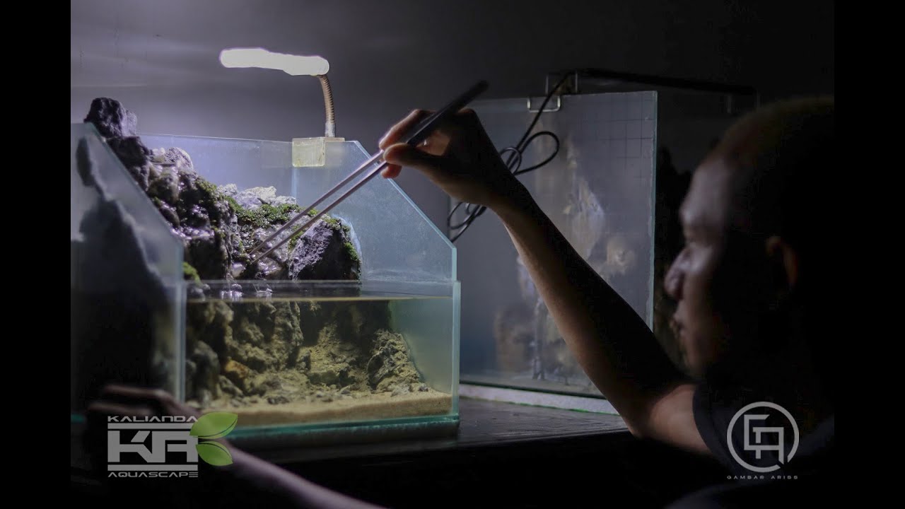 MAKING MINI PALUDARIUM MOUNTAIN | NO PLANTING - YouTube