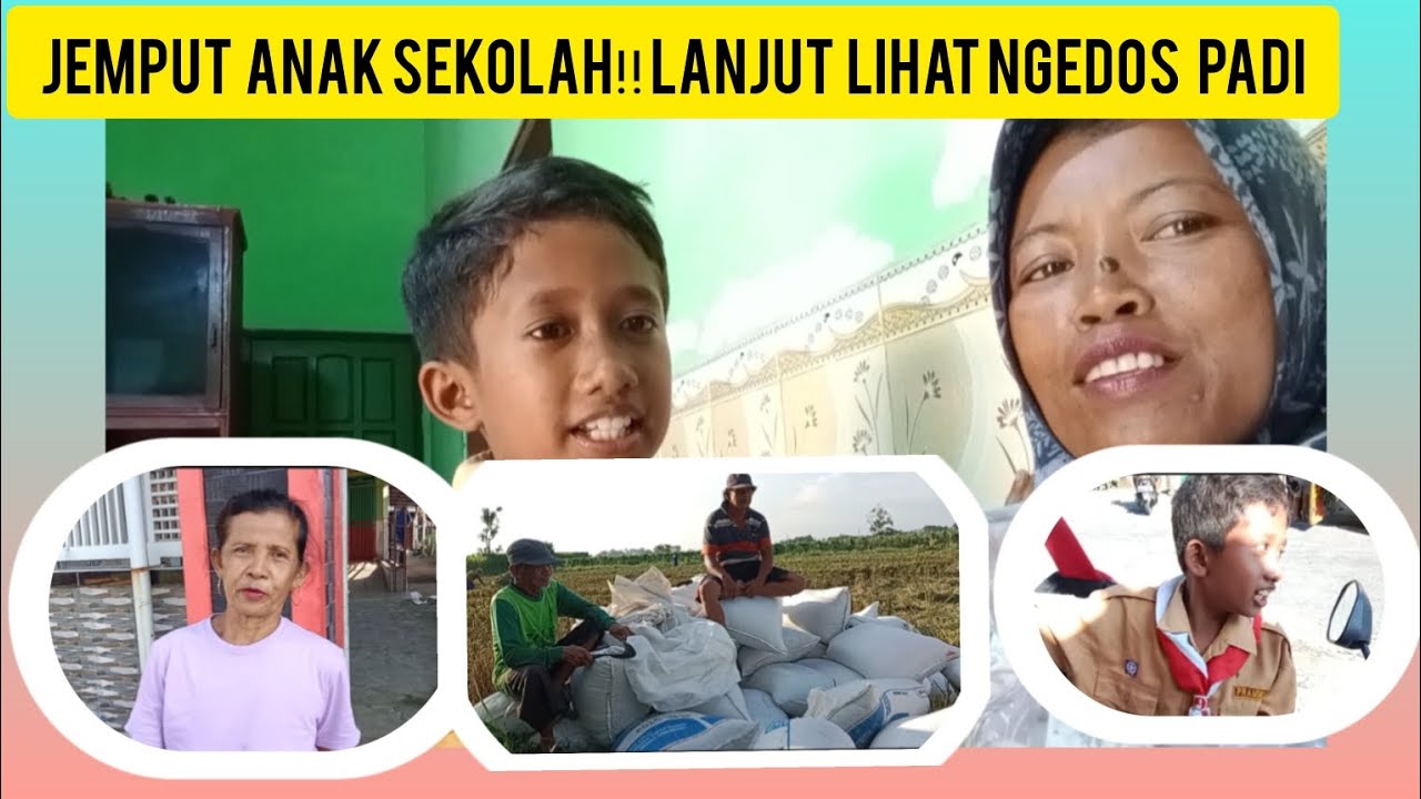 JEMPUT ANAK SEKOLAH‼️LANJUT LIHAT MESIN NGEDOS PADI - YouTube