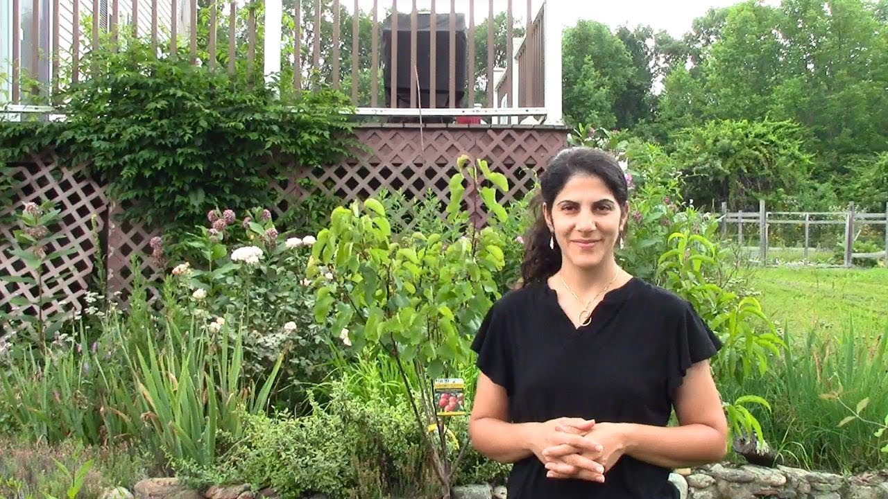 Fence Front Yard Orchard Orchard Fence Case Study, By Nicholsons