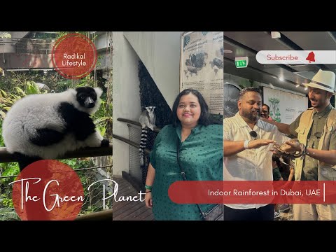 Exploring The Green Planet in Dubai | A Tropical Rainforest Experience! 🌿