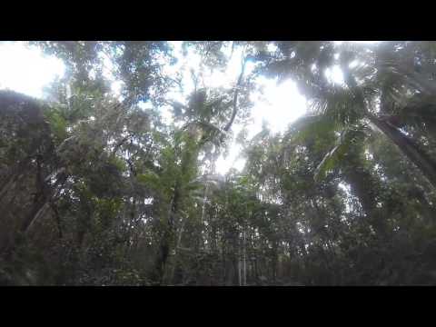 FRASER ISLAND TOUR