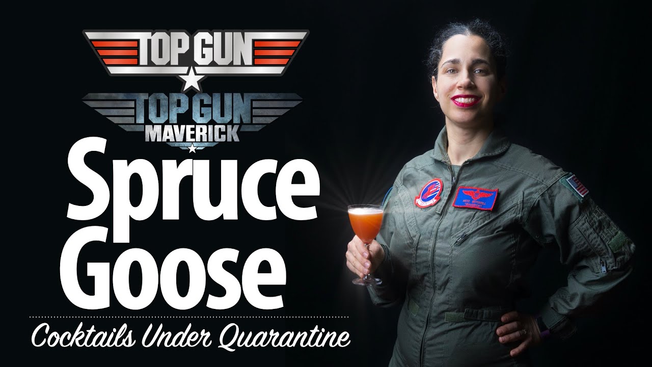 Top Gun Logo Goose
