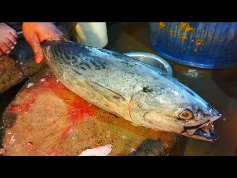 Tuna fish cutting video Bangladesh market tuna fish - YouTube