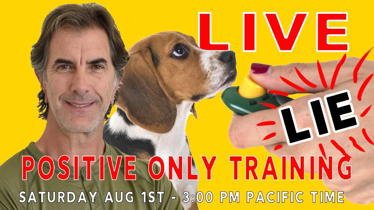 Positive ONLY Dog Training LIE - YouTube