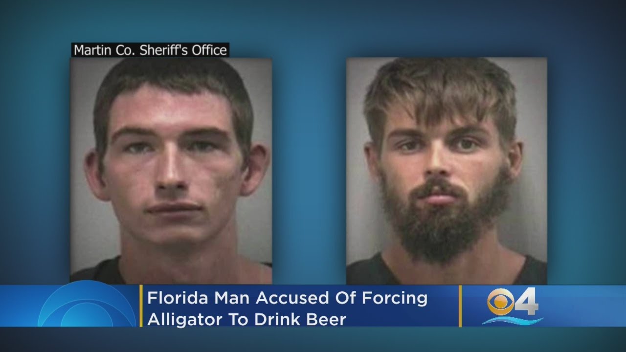 Florida Man Accused Of Forcing Alligator To Drink Beer - YouTube