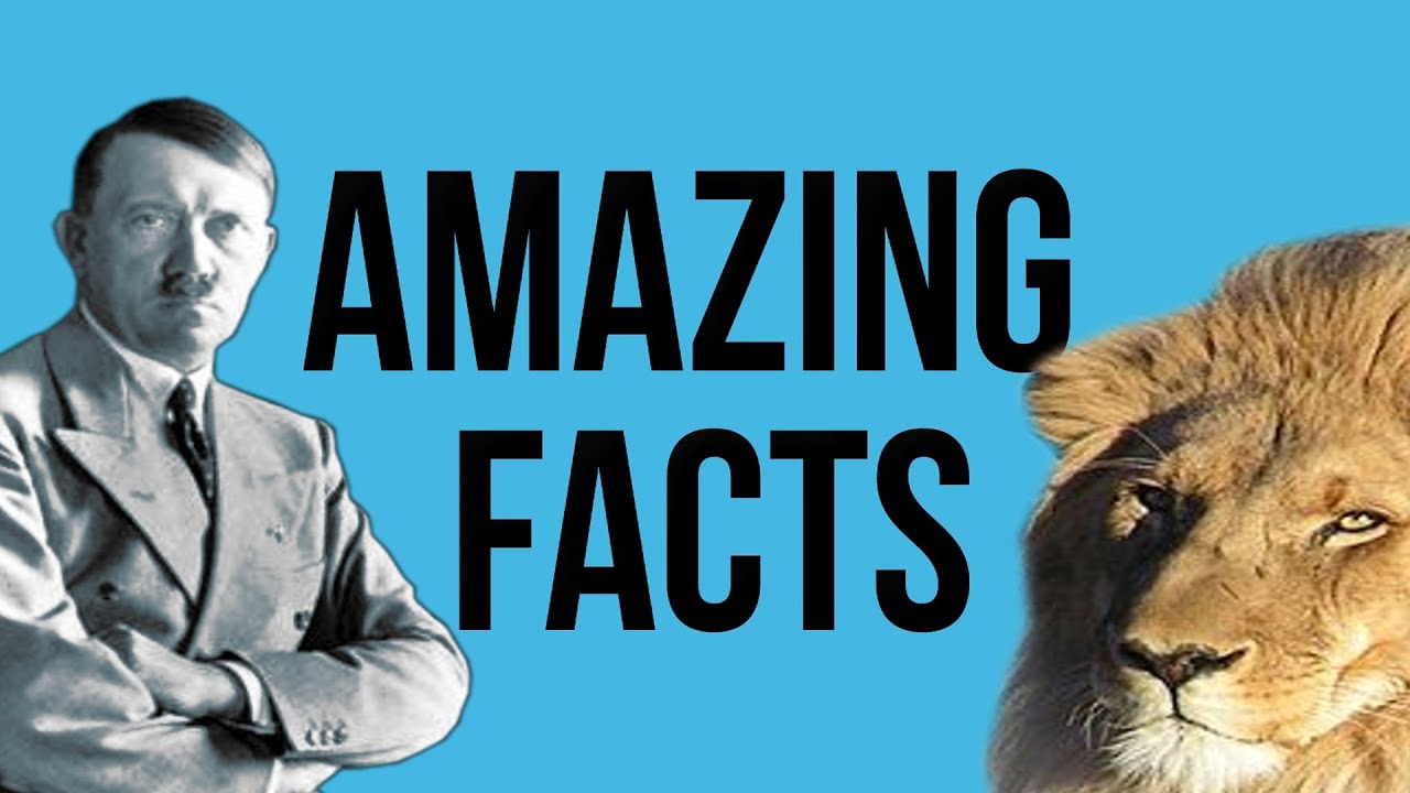 10 Amazing Facts You Probably Didn t Know YouTube 10-amazing-facts-you-probably-didn-t-know-youtube