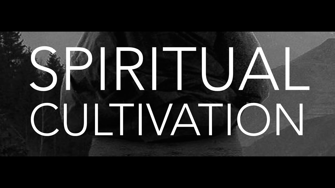 Differentiating Spiritual Realization from Spiritual Cultivation ...