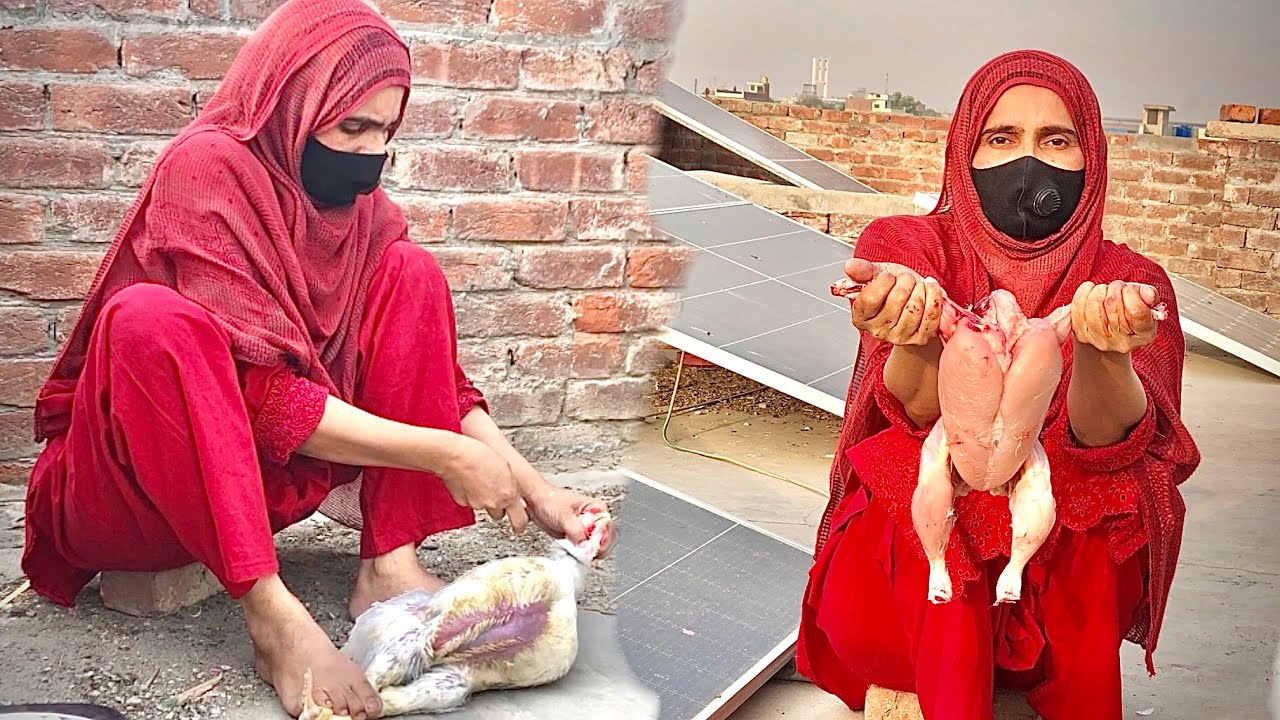 Hen slaughter by women 🔪😍 - YouTube