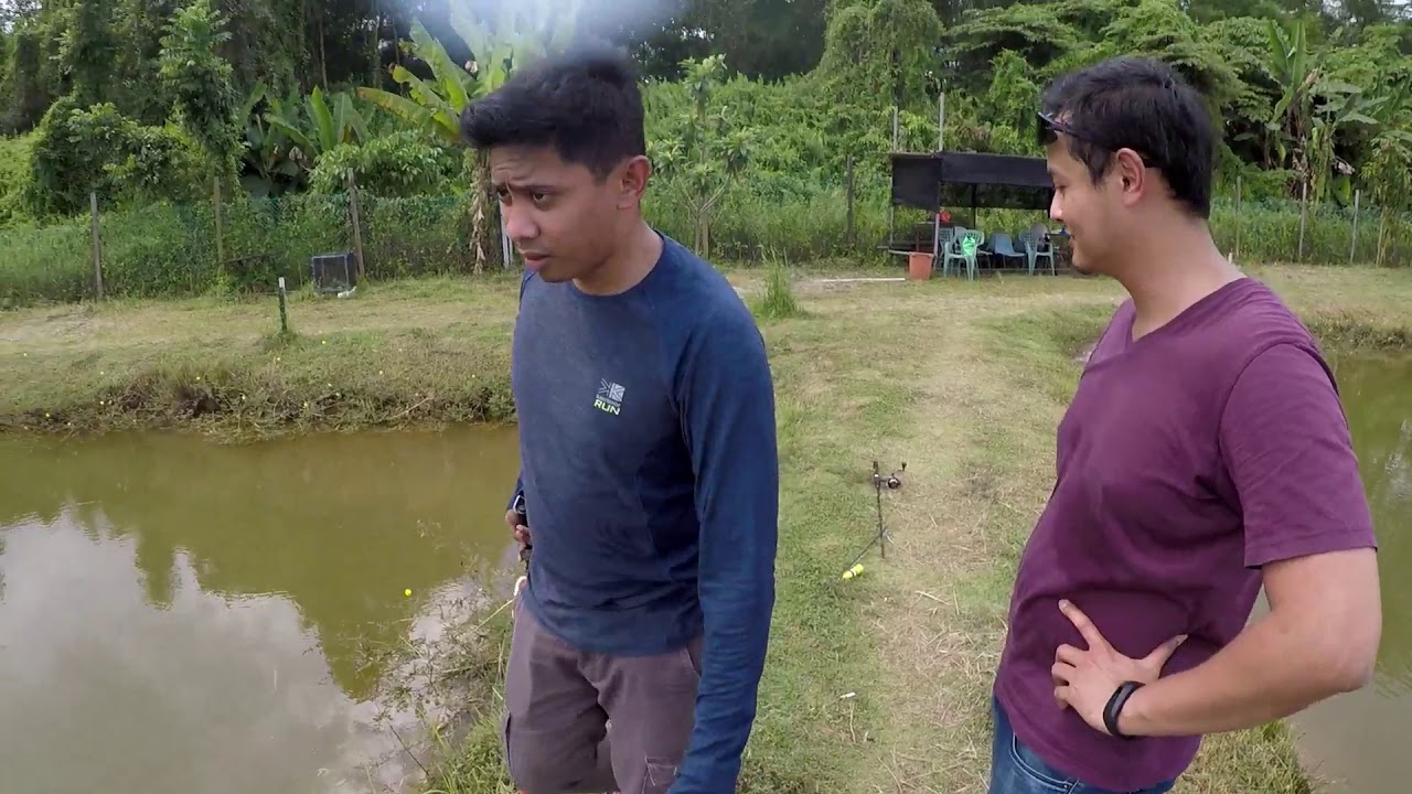 SUNGEI TENGAH FRESHWATER POND - YouTube