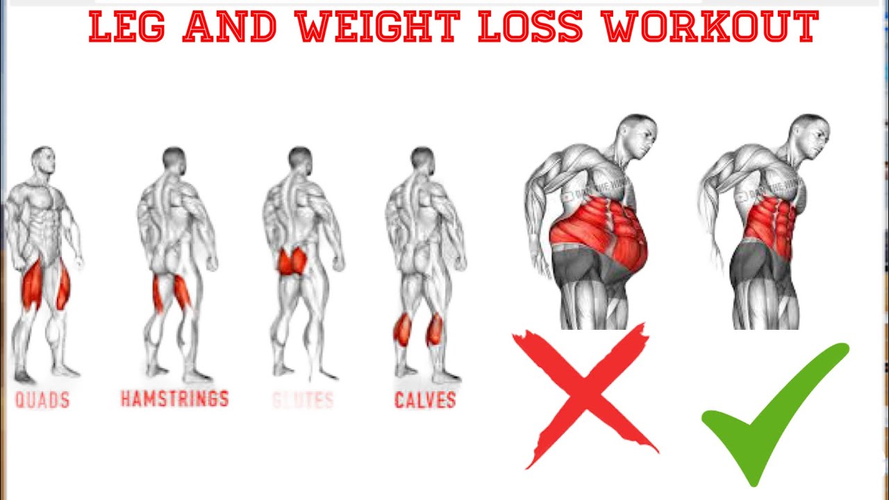 LEG AND WEIGHT LOSS WORKOUT FOR 2025 BEGINNERS! - YouTube