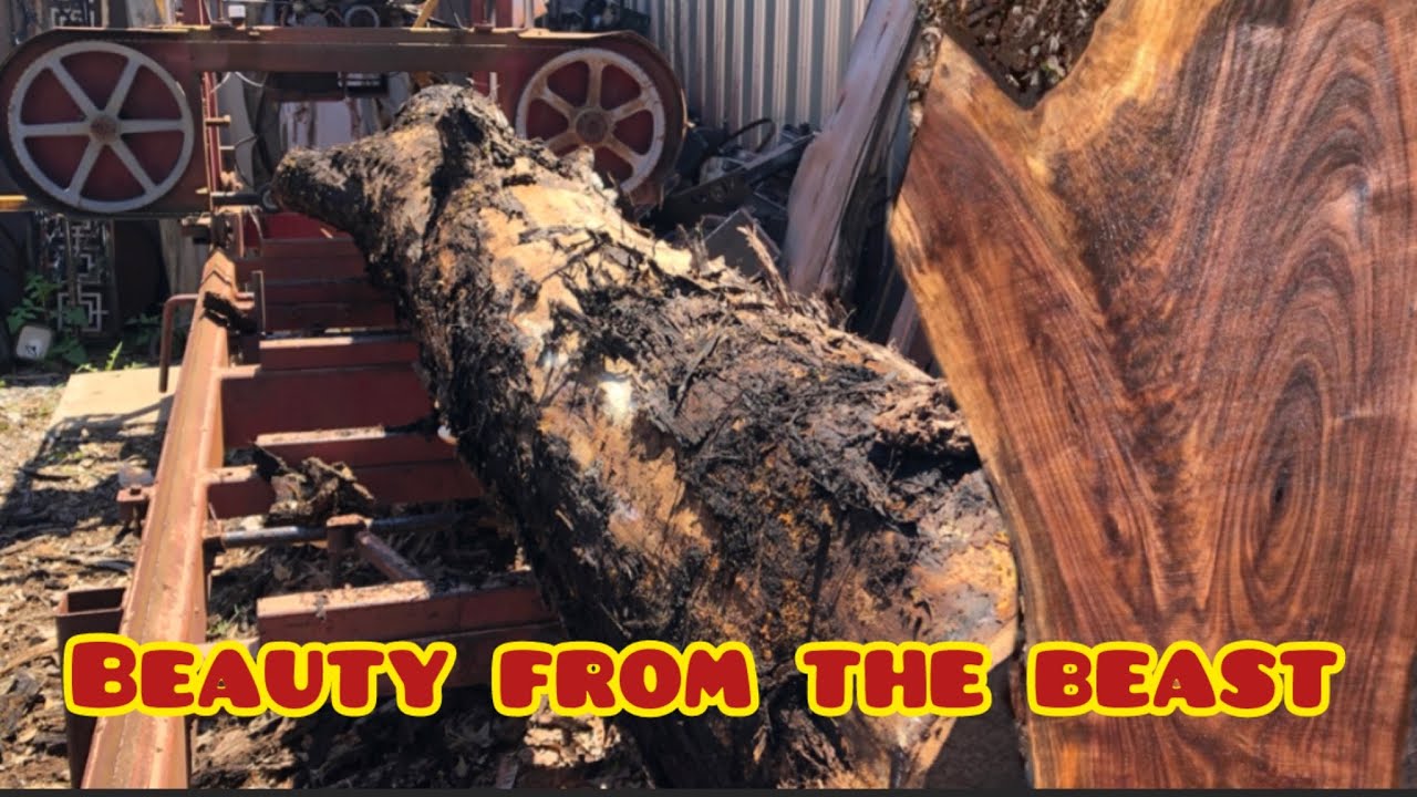 UGLY BLACK WALNUT ON THE SAWMILL! WAIT TILL YOU SEE WHATS INSIDE! - YouTube
