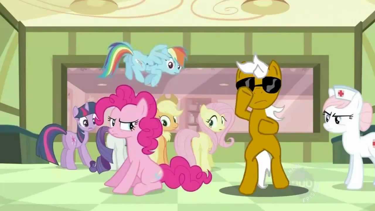 GANGNAM PONY STYLE - YouTube