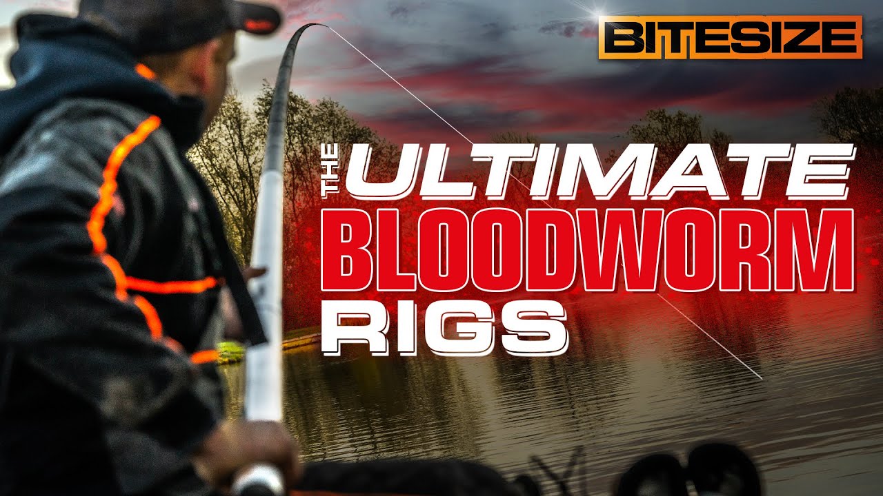 The ULTIMATE Bloodworm Rigs | Guru Bitesize #044 - YouTube