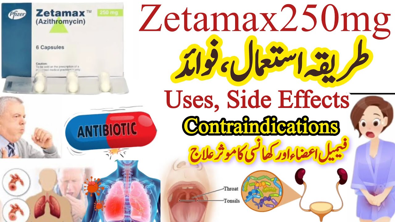 How To Use Zetamax 250mg | Azithromycin | Capsule | Zetamax uses in ...