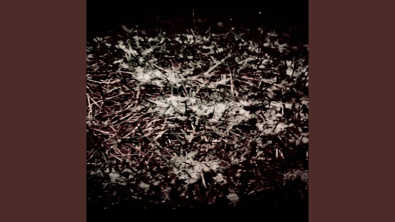 Shift felt on a molecular level - YouTube