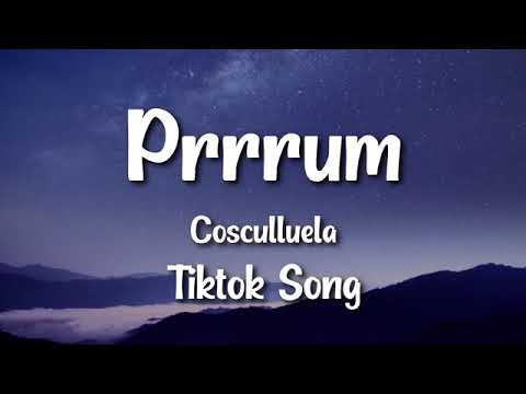 prrrum tiktok song's