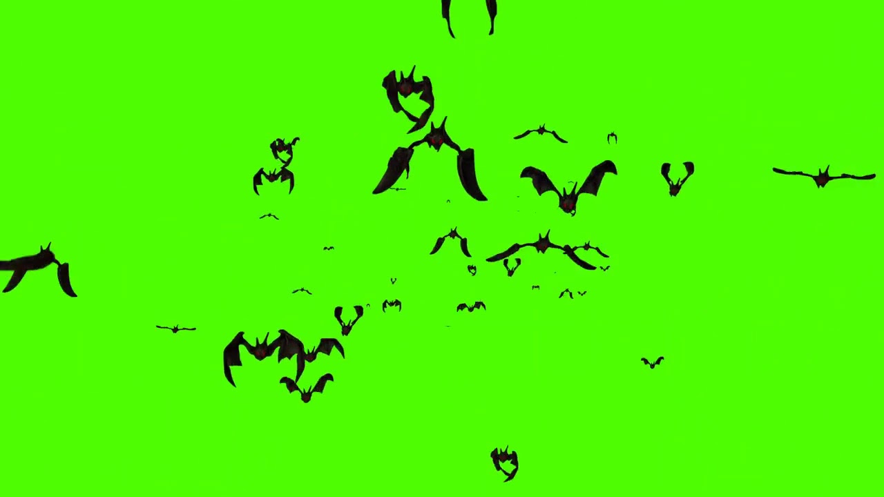 Green screen the bat " 4k " - YouTube